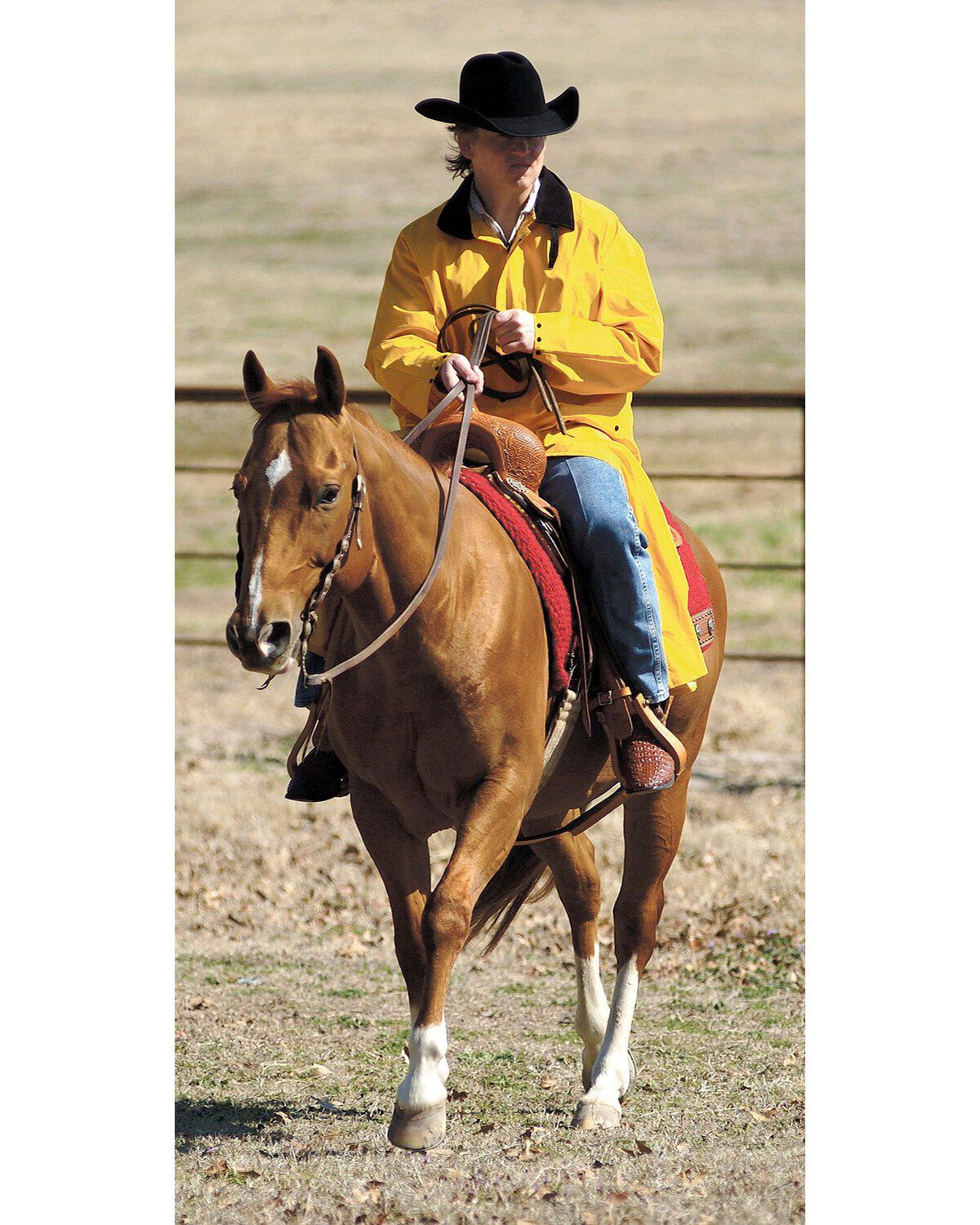 Double S Adult Saddle Slicker, Yellow