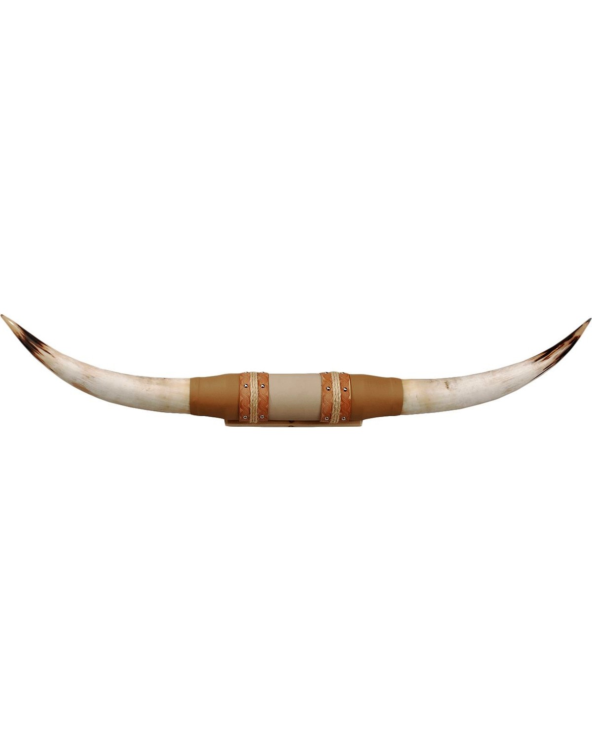 Authentic Large Steer Horns | Boot Barn